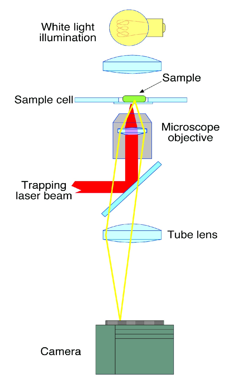 Optical tweezers move nano-objects, Part 2: The optical path